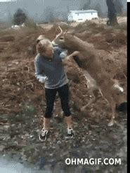 Mating Press S Find And Share On Giphy