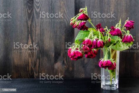 어두운 나무 배경에 유리에 잎과 아름다운 무산 장미 마른 장미와 복사 공간이있는 훌륭한 나무 배경 장미에 대한 스톡 사진 및 기타 이미지 Istock