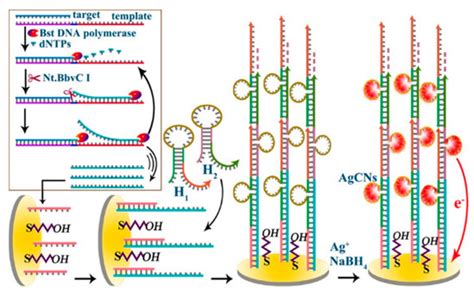 Nanomaterials Special Issue Preparation Of Nanomaterial Modified Electrode And Its Sensing