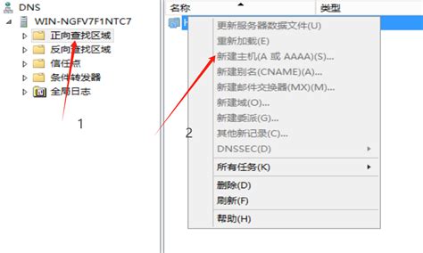 虚拟机环境下 Windows Server 构建 Dhcp、dns 与 Web 服务器实战1台虚拟化服务器作为主机端安装部署dns、dhcp 虚拟机环境下 Windows Server 构建 Dhcp、dns 与 Web 服务器实战1台虚拟化服务器作为主机端安装部署dns、dhcp
