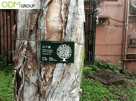 5 Lessons To Learn From Tree Labels With QR Code Campaign In HK