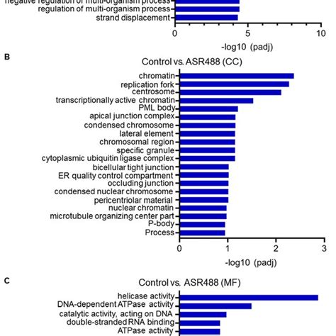 Reactome Pathway Analysis The Reactome Pathway Enrichment Analysis Of