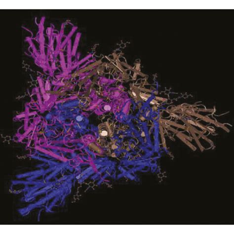 Bioinformatics Analysis And Computer Simulation Molecular Modeling Of