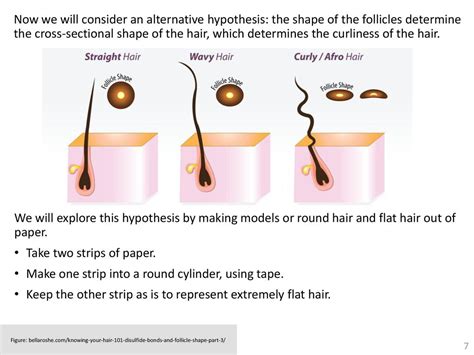 Note To Instructors This Worksheet Represents A Way That I Have Taught This Material Which