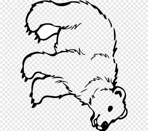 그리즐리 베어 자이언트 팬더 그림 색칠 공부 곰 애정 주형 png PNGEgg