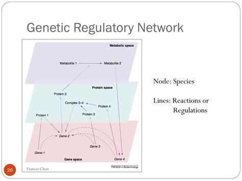 Ppt Synthetic Biology With Engineering Tools Powerpoint Presentation Id5788847