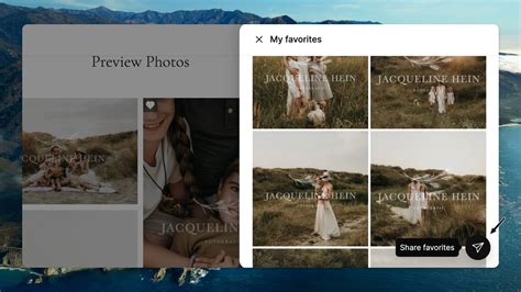 Favorite Proofing Workflow Guide — Shootstack