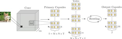 Capsule Network Architecture Encoder Network Download Scientific