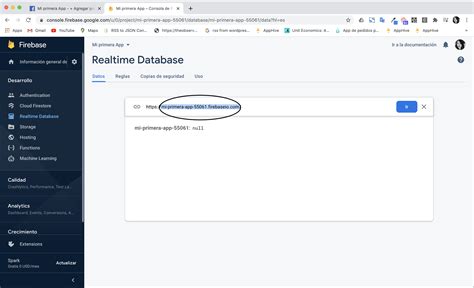 Firebase Config Activar Y Obtener Real Time Database De Firebase