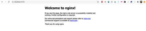 Nginx With Docker And Nodejs — A Beginners Guide