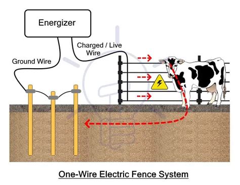 Electric Fence Working Types Protection And Installation