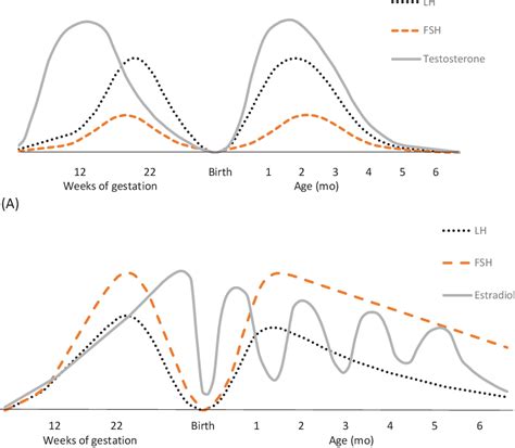 Figure 1 From Minipuberty Of Human Infancy A Window Of Opportunity To