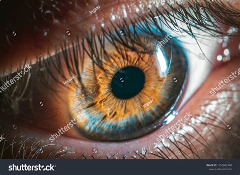 Macro Photography Eye