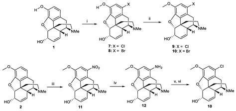 Pharmaceutics Free Full Text Synthesis And Modification Of Morphine And Codeine Leading To