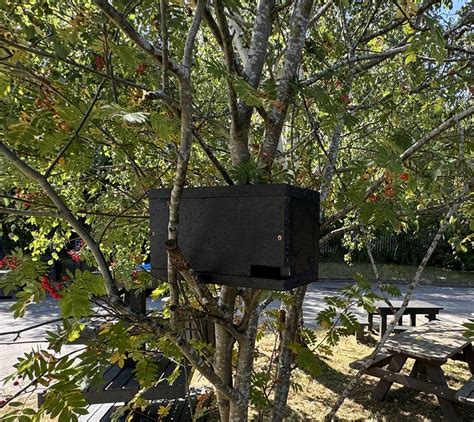Recycled Plastic Swift Nest Box Plastecowood