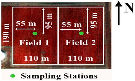 A Novel Remote Sensing Based Modeling Approach For Maize Light Extinction Coefficient Determination