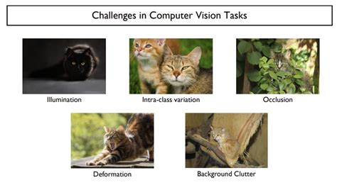 Convolutional Neural Networks And Image Classification Daham J