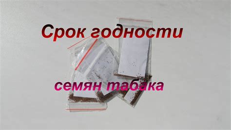 Срок годности семян табака - YouTube
