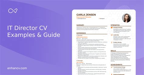 IT Director CV Examples For