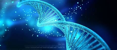 Analyzing Biomarkers In Drug Development Bioanalysis Zone