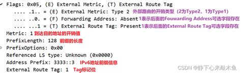 ospfv3报文讲解 静下心来敲木鱼的博客 csdn博客