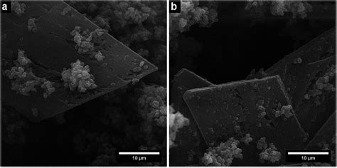 Dye Stimulated Control Of Conducting Polypyrrole Morphology RSC Advances RSC Publishing DOI