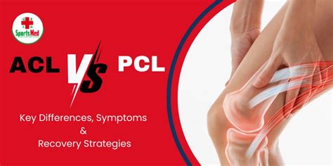 Acl Vs Pcl Injuries Key Differences Symptoms And Recovery Strategies