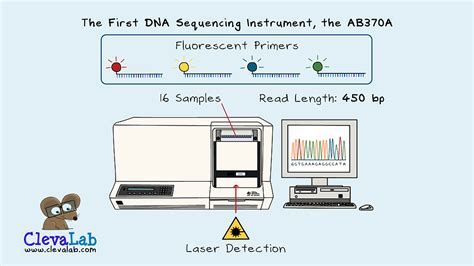 Sanger Dna Sequencing From Then To Now