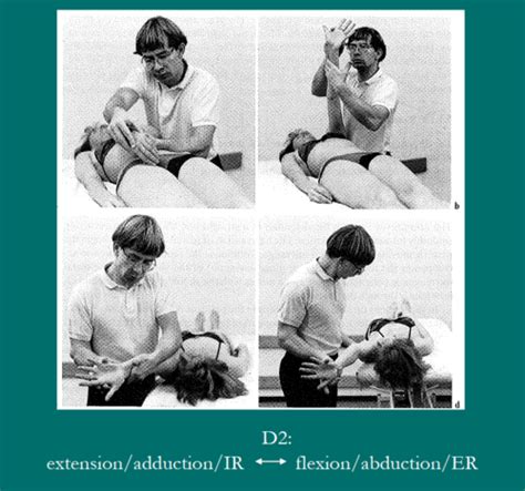 Musculoskeletal Pnf Flashcards Quizlet