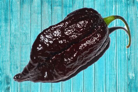 Chocolate Bhutlah: Is It Hotter Than The Carolina Reaper? - Grow Hot ...