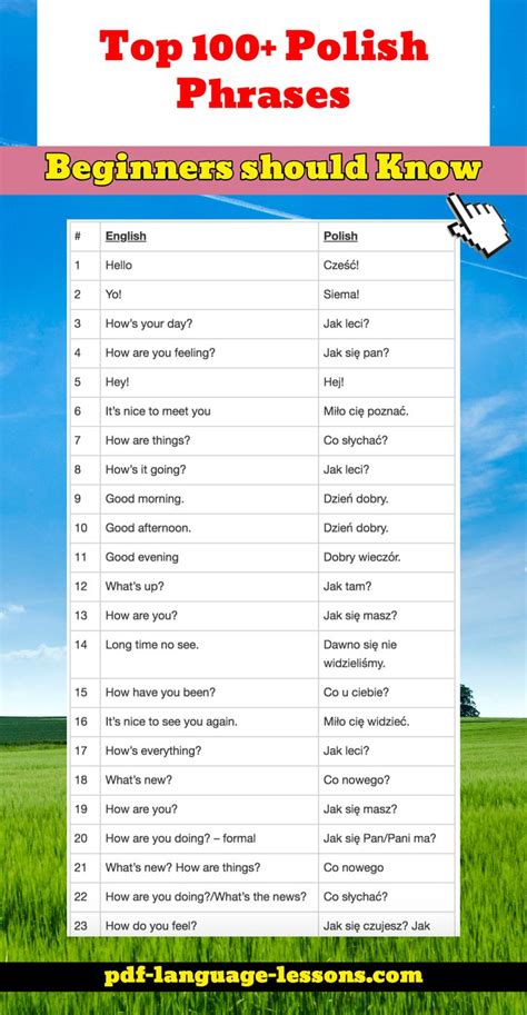 Learn The Top 100 Polish Phrases Taal Projecten Poolse Recepten