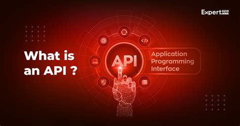 Sdk Vs Api Which One To Choose For Your Next Web App Development Project