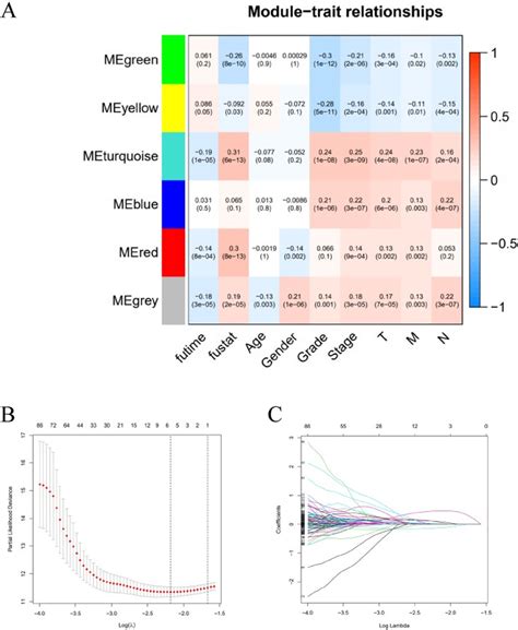 the wgcna analysis and the lasso cox regression model a the