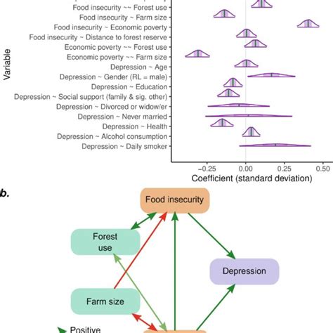 Bayesian Structural Equation Modelling Results Panel A Describes The Download Scientific