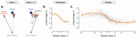 trial by trial estimates of sensorimotor adaptation in response to