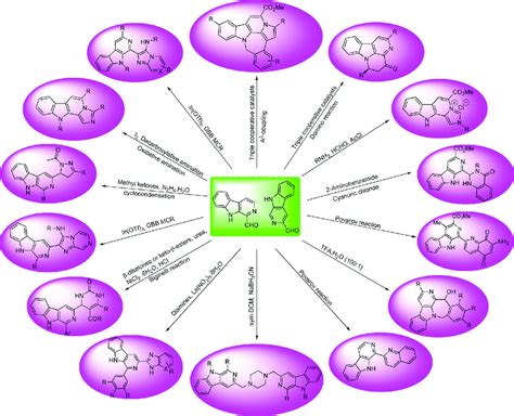 Scheme 69 Selection Of Various B Carboline Containing Heterocyclic Download Scientific Diagram