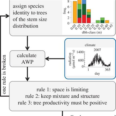 Pdf The Importance Of Forest Structure To Biodiversityproductivity Relationships