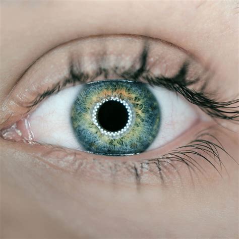 Cvpr 2019 Papers Kaggle