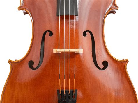 How Many Strings Does A Cello Have Teds List