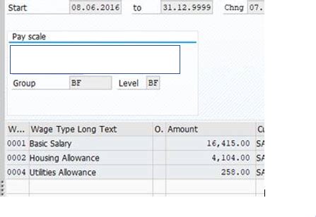 Solved Wage Types Amounts In Table P0008 SAP Community