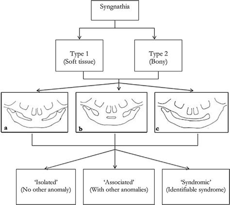 Proposed Classification Note A Subtype A Midline Anterior B