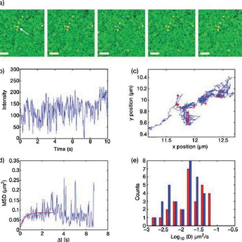 4 Analysis Of Single Particle Tracking Download High Resolution Scientific Diagram