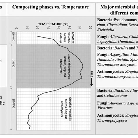 2 Enzymes And Microbial Activities Associated With Bio Composting Download Scientific Diagram