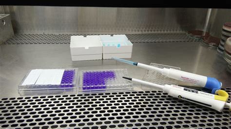 Microbiology Still On Microbial Classification Based On Temperature Tolerance Mesophiles