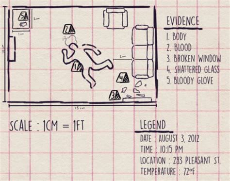 Forensics Crime Scene Investigation Flashcards Quizlet