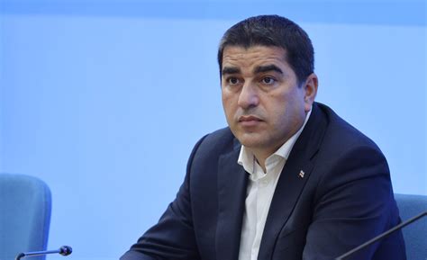 პაპუაშვილის თქმით დასავლელი პოლიტიკოსები „ოცნების წინააღმდეგ კამპანიაში მონაწილეობენ