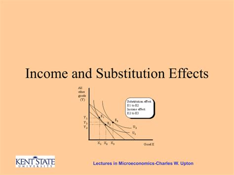 Substitution Effect