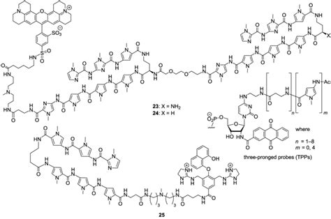 Telomere Targeting Tandem Hairpin Py Im Polyamides 23 And 24 Capable Of