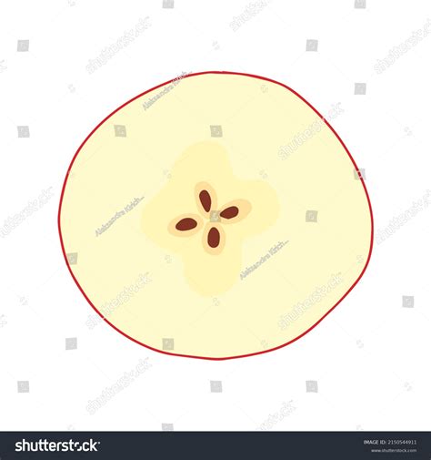 Apple Section Top View Doodle Illustration Stock Vector Royalty Free 2150544911 Shutterstock