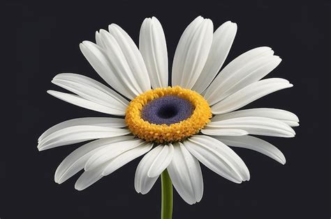 Premium Photo Watercolor Daisy Flower Vector Art